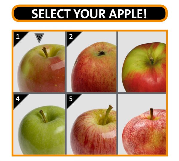 An Apple A Day - Pinnacle Dietary Global